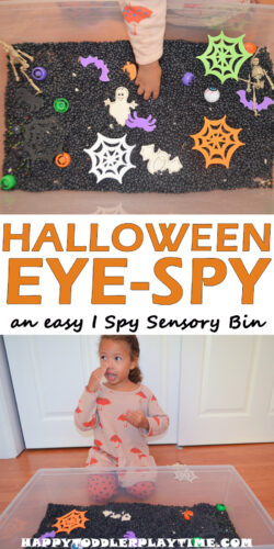 Halloween Eye-Spy Sensory Bin - Happy Toddler Playtime