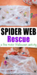 Spider Web Rescue - Happy Toddler Playtime