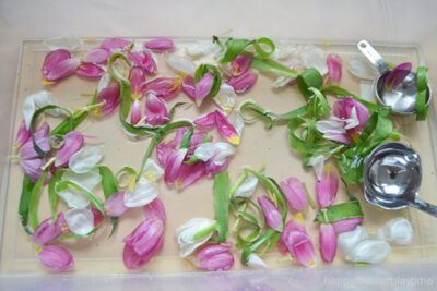 Tulip Sensory Bin for Spring - Happy Toddler Playtime