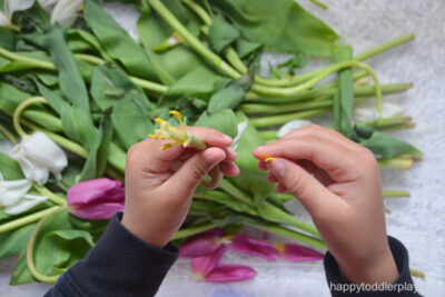 Tulip Sensory Bin for Spring - Happy Toddler Playtime