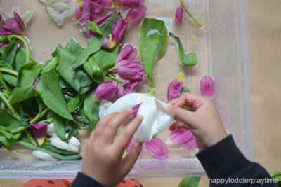 Tulip Sensory Bin for Spring - Happy Toddler Playtime