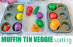 Muffin Tin Vegetable Sorting - Happy Toddler Playtime