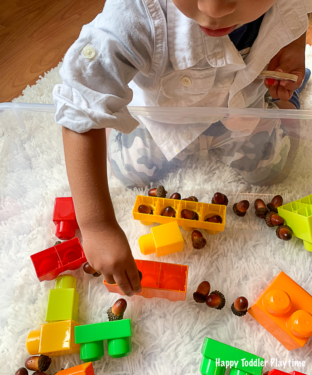 Fall Acorn Counting for Toddlers - Happy Toddler Playtime