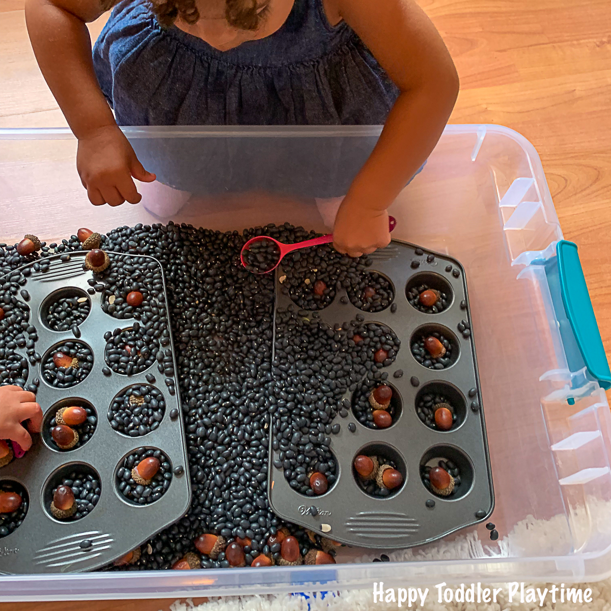 Bury The Acorns: An Easy Toddler Activity - Happy Toddler Playtime