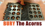 Bury The Acorns: An Easy Toddler Activity - Happy Toddler Playtime