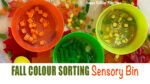 Autumn Colour Sorting Sensory Bin - Happy Toddler Playtime