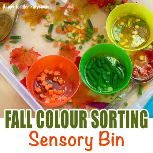 Autumn Colour Sorting Sensory Bin - Happy Toddler Playtime