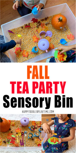 Fall Sensory Bins for Toddlers & Preschoolers - Happy Toddler Playtime