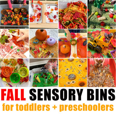 Fall Sensory Bins for Toddlers & Preschoolers - Happy Toddler Playtime