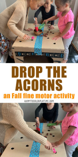 Drop the Acorns: A Squirrelly Fun Activity for Toddlers & Preschoolers ...