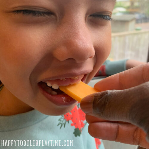 Thanksgiving Taste Test Activity for Kids - Happy Toddler Playtime