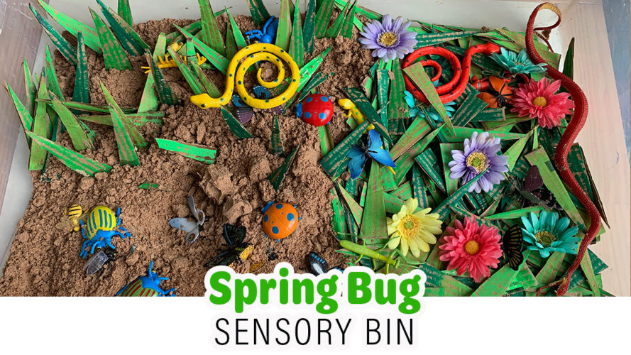 Spring Bug Sensory Bin for Kids - Happy Toddler Playtime