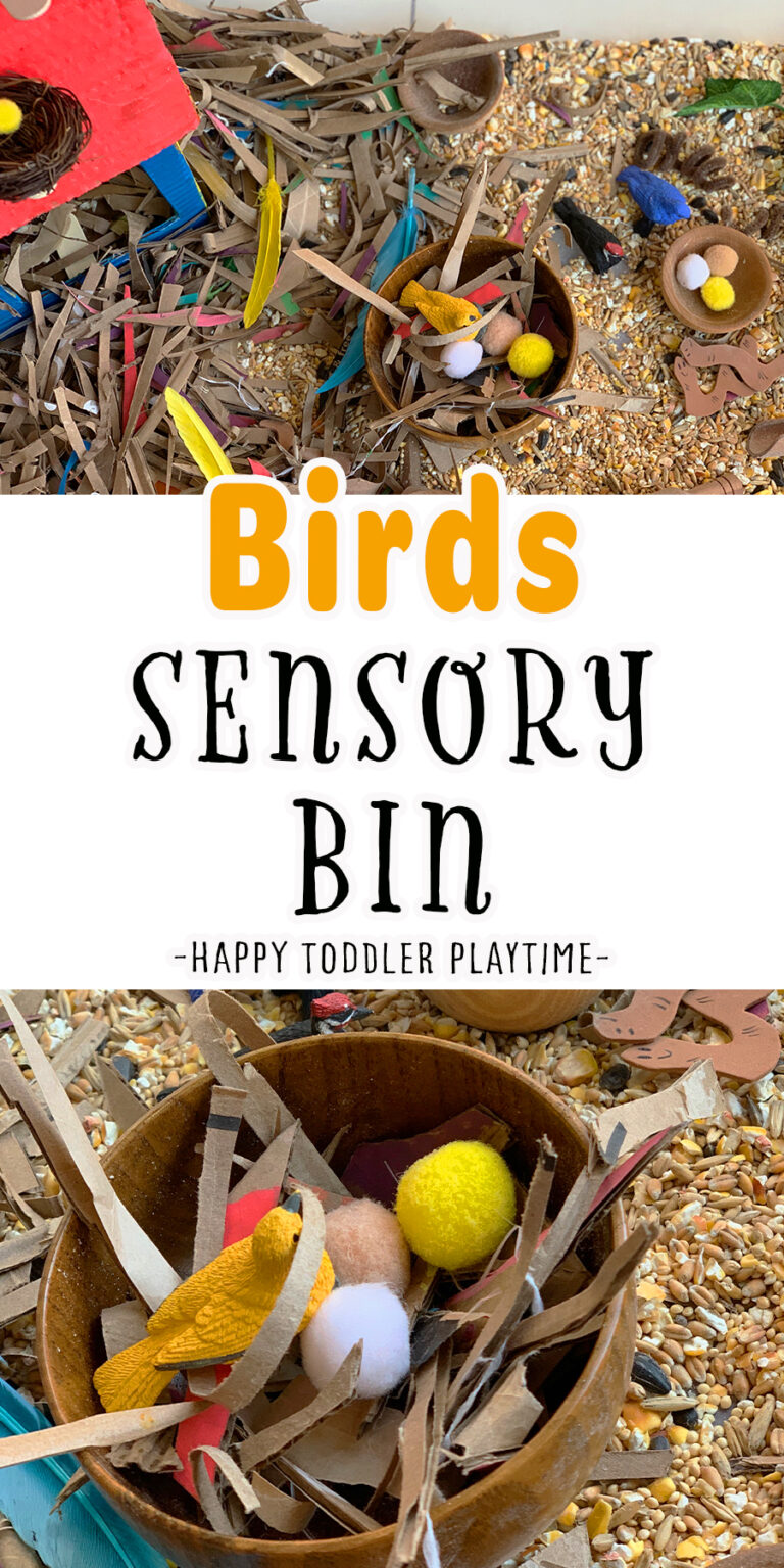 Beautiful Birds Sensory Bin for Kids - Happy Toddler Playtime
