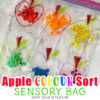 Apple Colour Sorting Sensory Bag - Happy Toddler Playtime