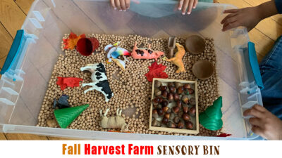 Fall Harvest Farm Sensory Bin - Happy Toddler Playtime