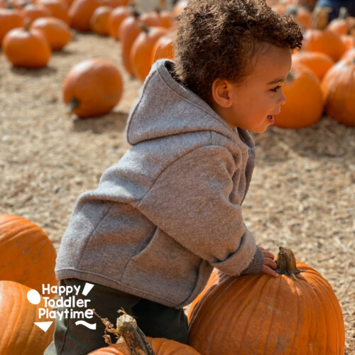 30+ Best Things To Do In Fall With Kids - Happy Toddler Playtime