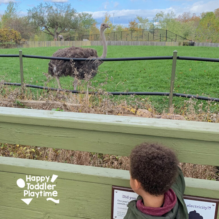 30+ Best Things To Do In Fall With Kids - Happy Toddler Playtime