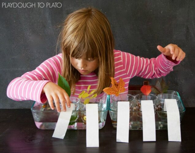 23 Fantastic Fall STEAM Activities Kids Will Love - Happy Toddler Playtime