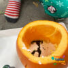 Fizzy Pumpkin Science Experiment for Halloween - Happy Toddler Playtime