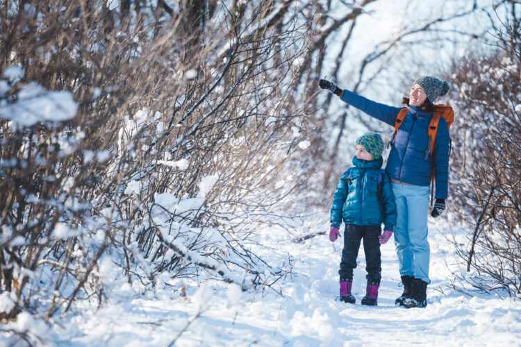 50 Fun Things To Do Over Winter Break with Kids: Easy Winter Break ...