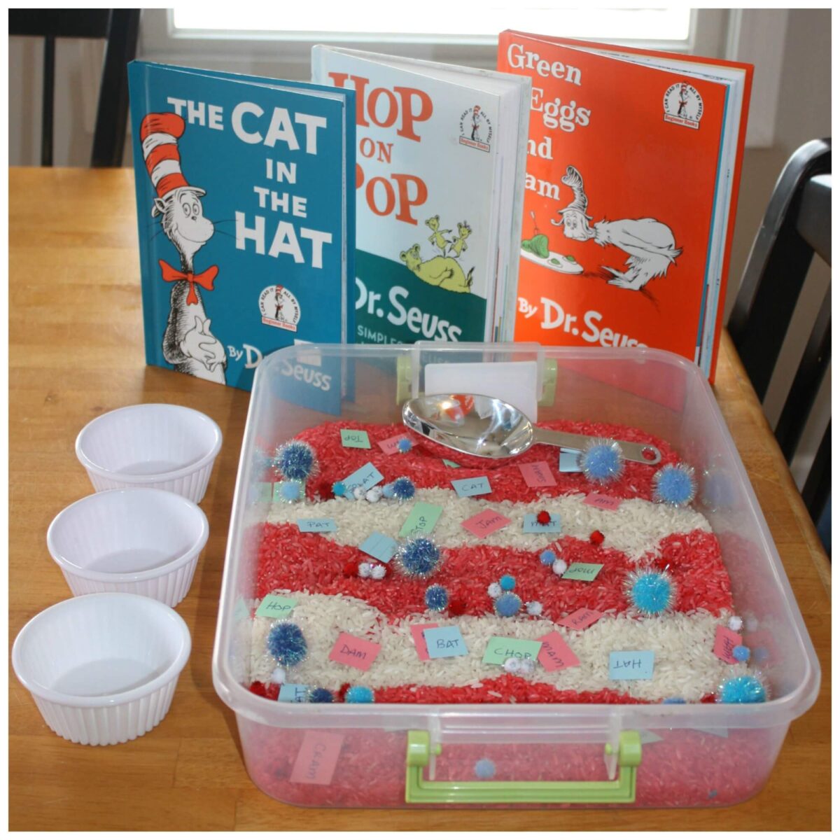 Dr. Seuss Sensory Play Activities for Kids - Happy Toddler Playtime
