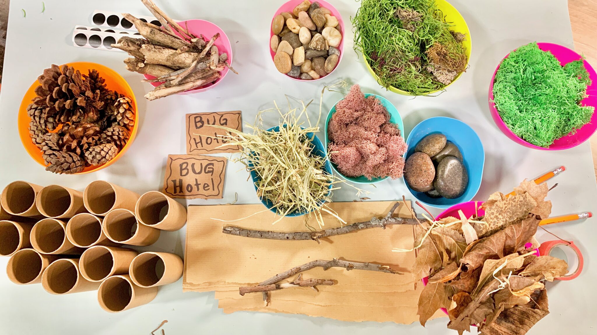 How to Make a Bug Hotel Craft: Fun Craft for Kids - Happy Toddler Playtime