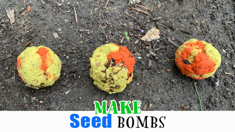 How to Make Seed Bombs for Kids - Happy Toddler Playtime