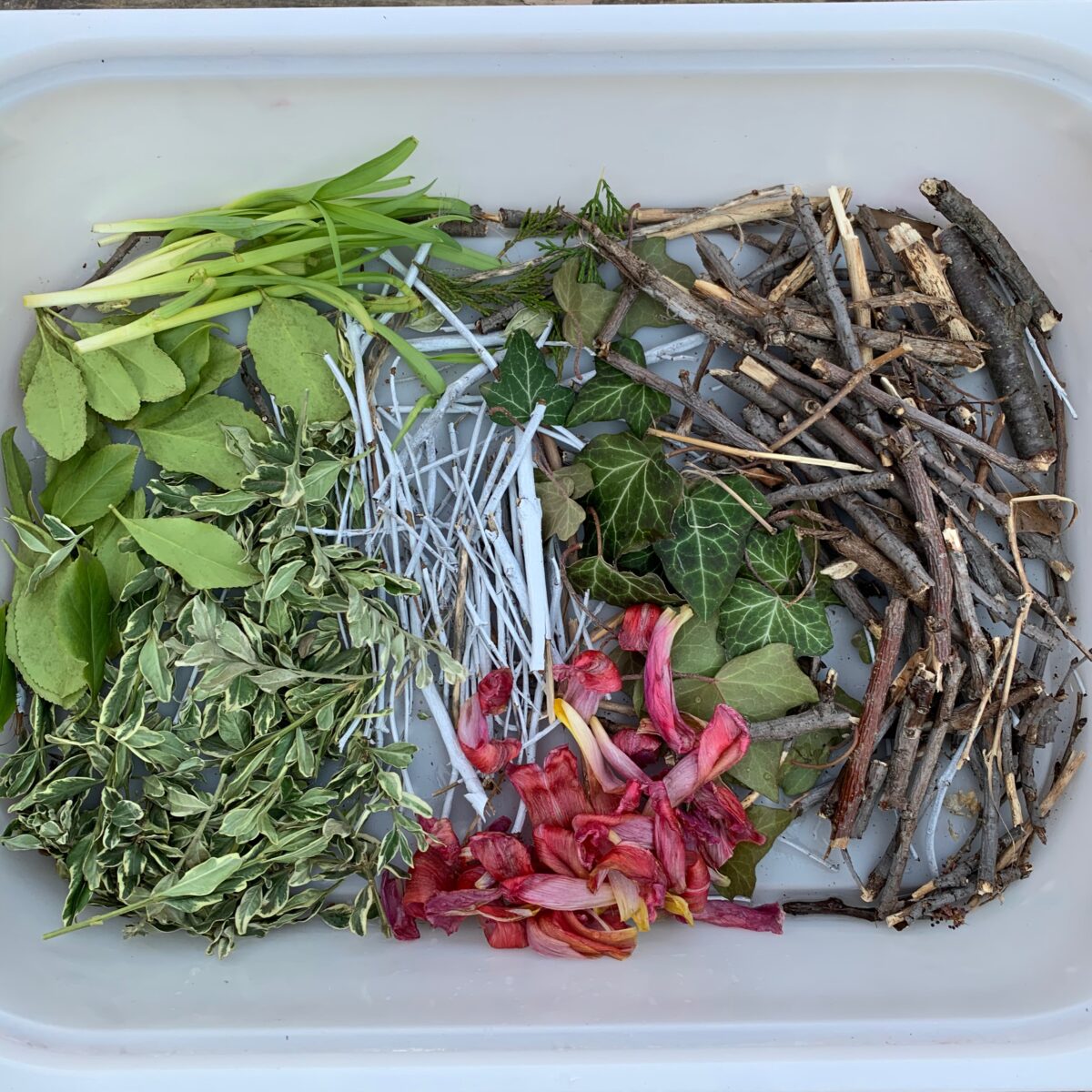 Amazing Sensory Bins for Summer - Happy Toddler Playtime