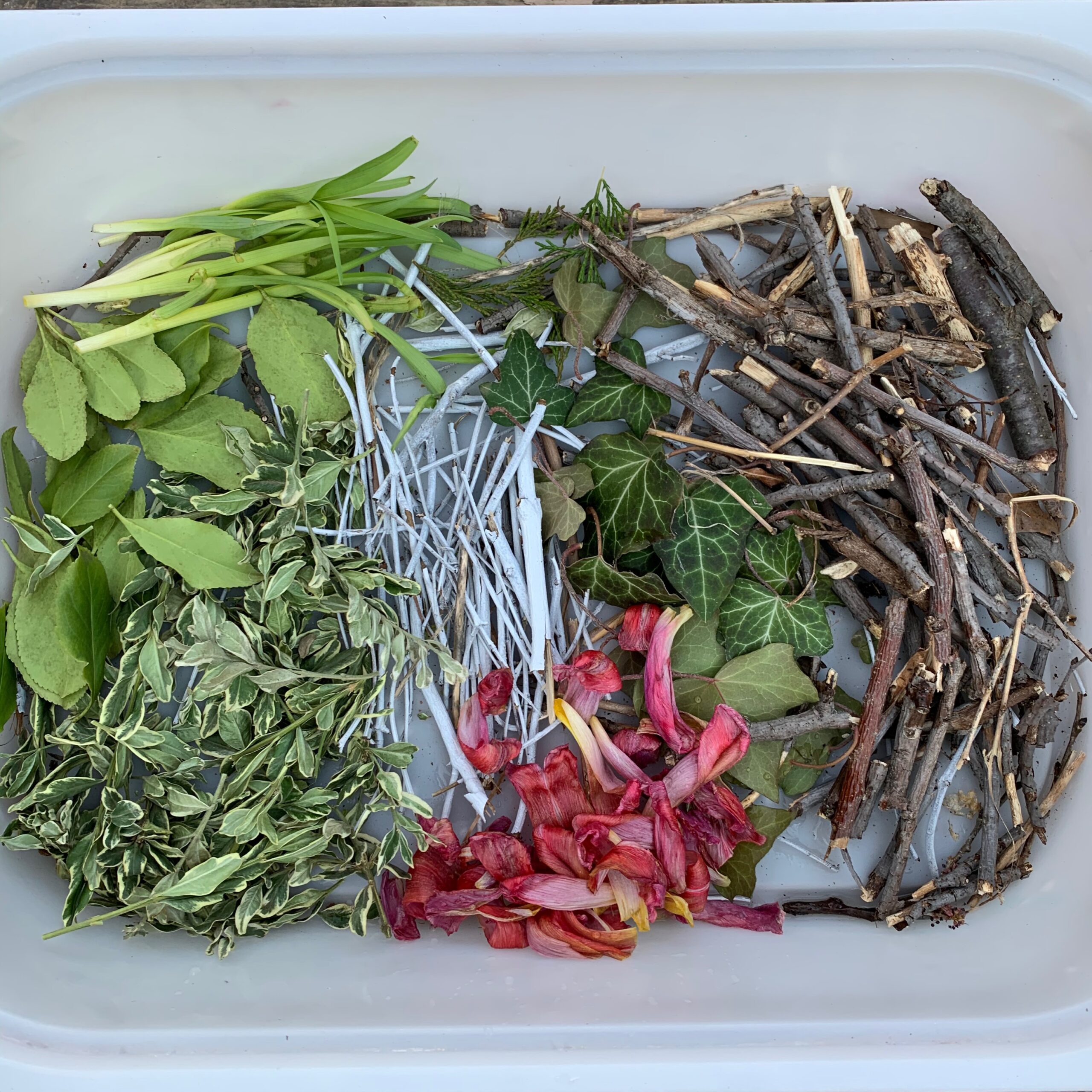 Amazing Sensory Bins for Summer - Happy Toddler Playtime