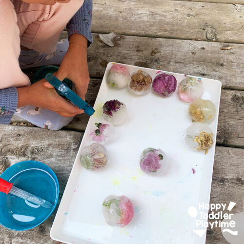 Frozen Flower Bombs: Easy STEM Activity - Happy Toddler Playtime