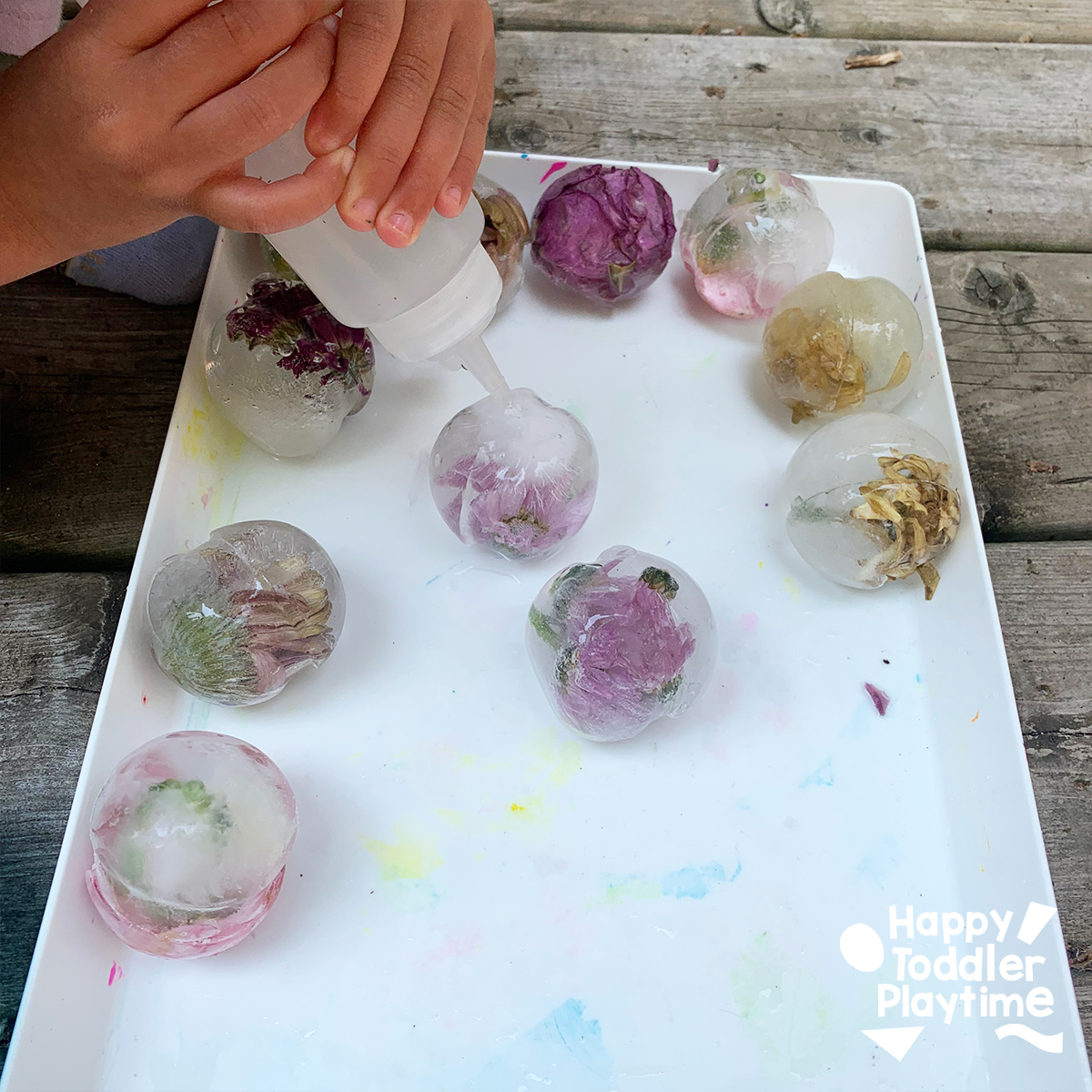 Frozen Flower Bombs: Easy STEM Activity - Happy Toddler Playtime