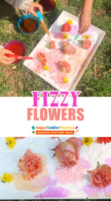 Fizzy Flowers: Easy STEM Activity - Happy Toddler Playtime