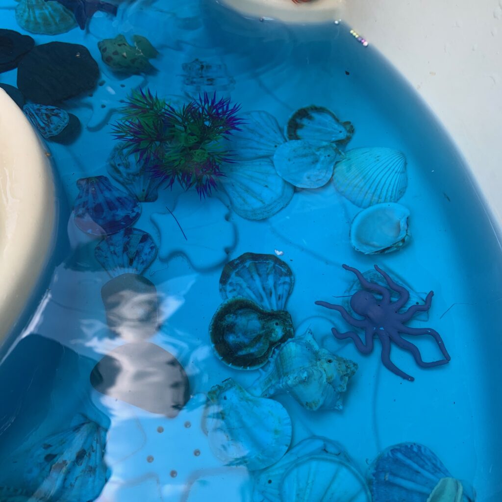 Rock Pool Water Table Sensory Activity for Kids - Happy Toddler Playtime