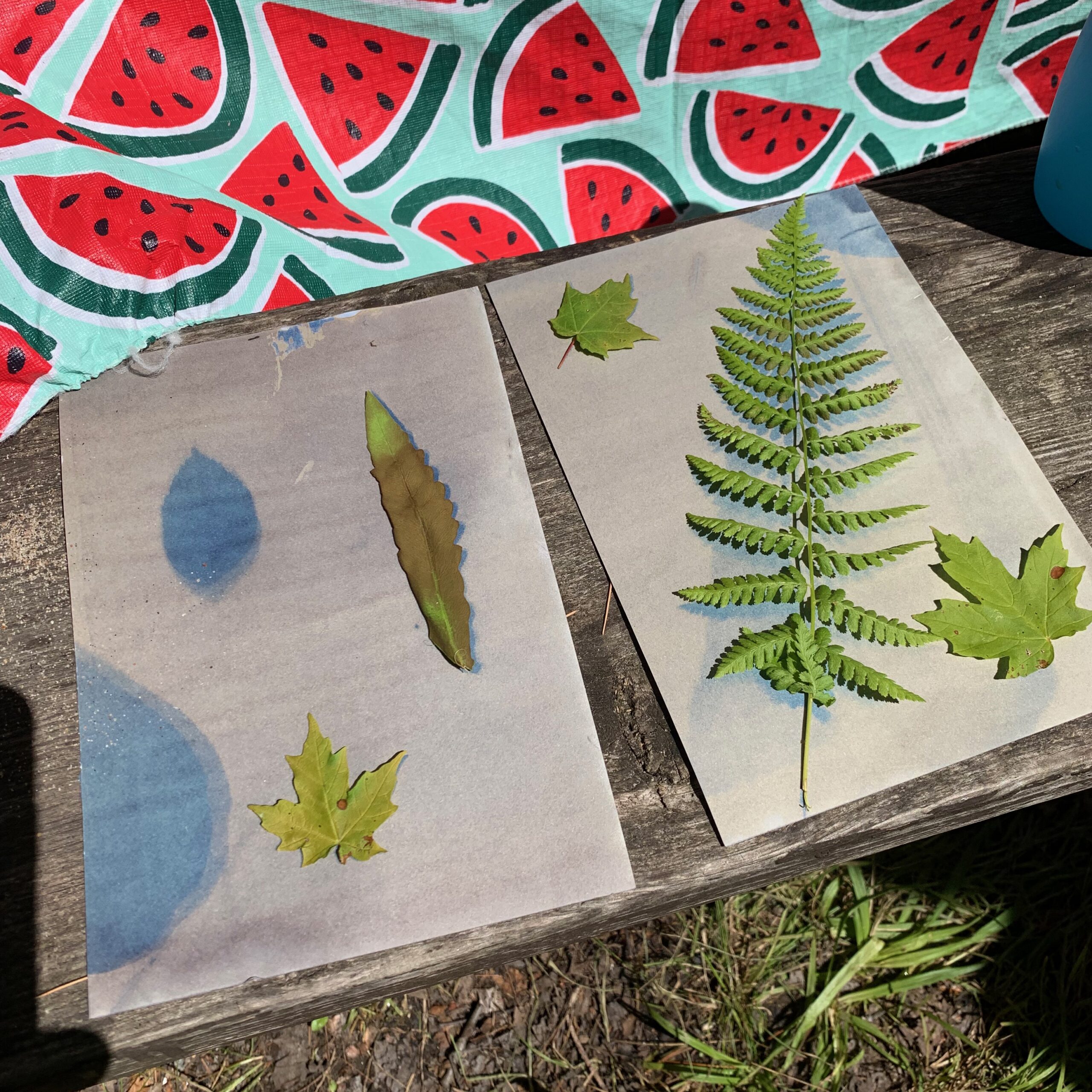 How to Make Sun Prints - Happy Toddler Playtime