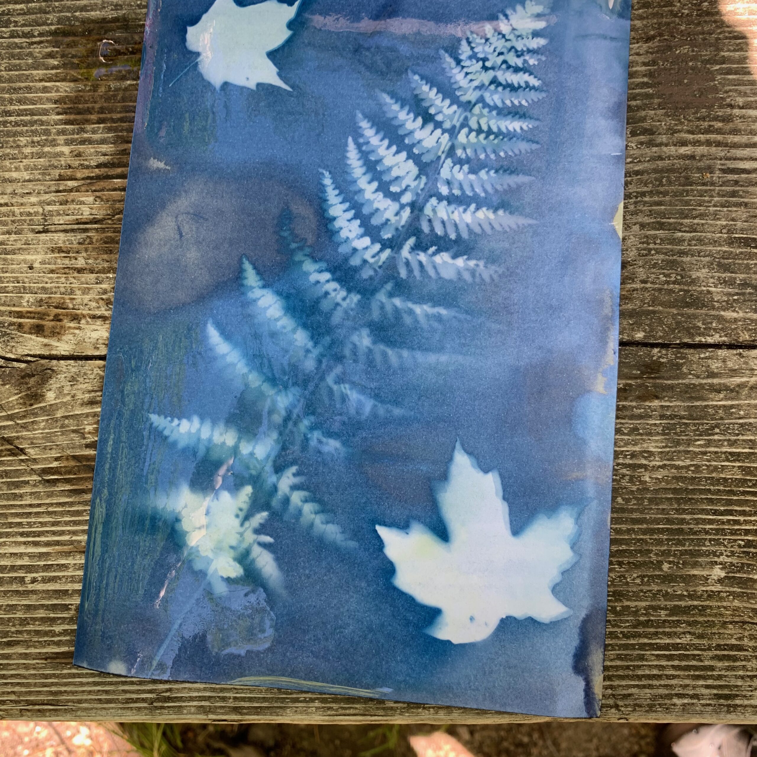 How to Make Sun Prints - Happy Toddler Playtime