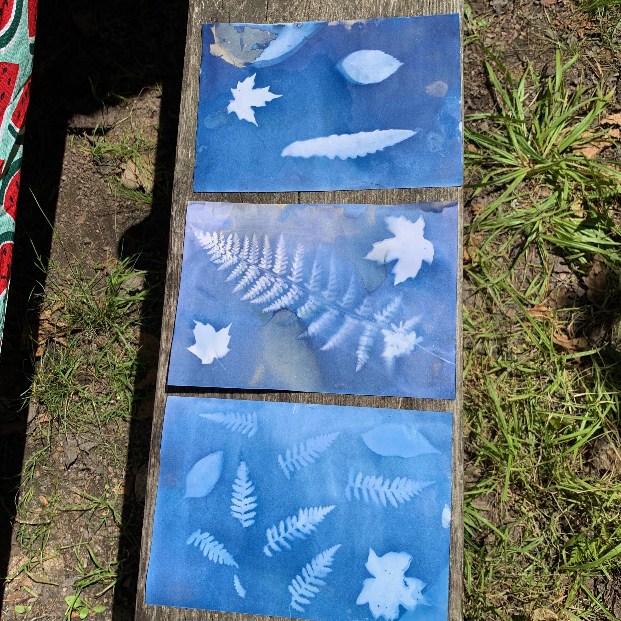How to Make Sun Prints - Happy Toddler Playtime