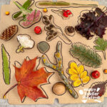 Cardboard Fall Nature Puzzle For Toddlers & Preschoolers - Happy ...