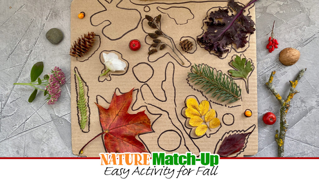 Cardboard Fall Nature Puzzle For Toddlers & Preschoolers - Happy ...