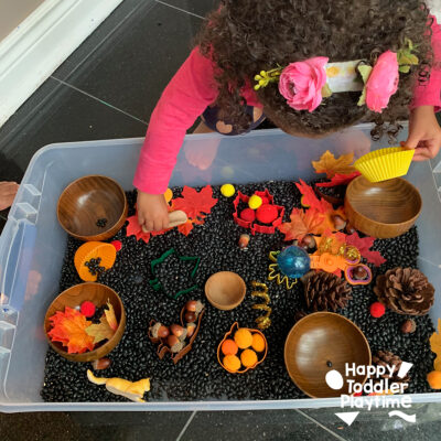 Fall Colors Sensory Bin for Toddlers and Preschoolers - Happy Toddler ...
