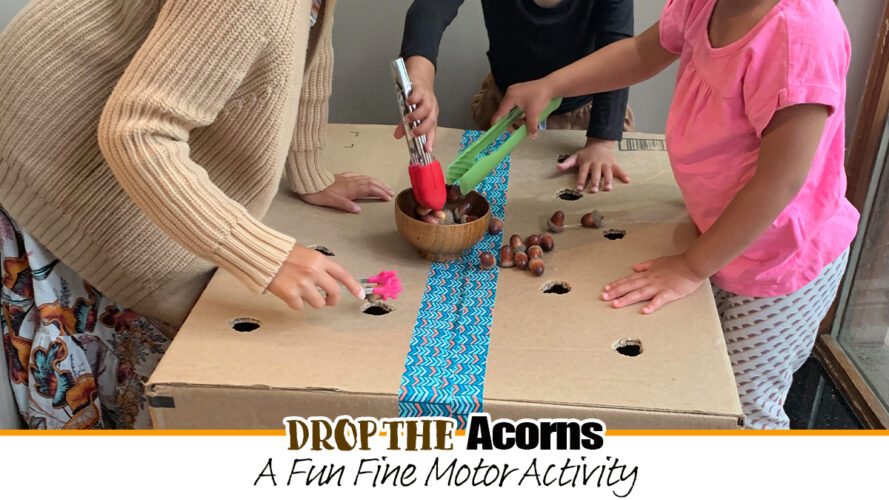 Drop the Acorns: A Squirrelly Fun Activity for Toddlers & Preschoolers ...