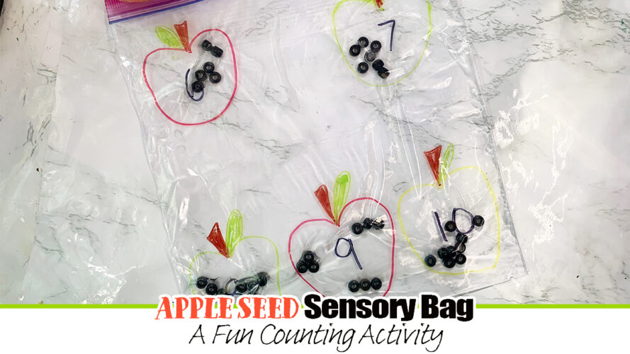 Apple Seed Sensory Bag: Easy Counting Activity - Happy Toddler Playtime