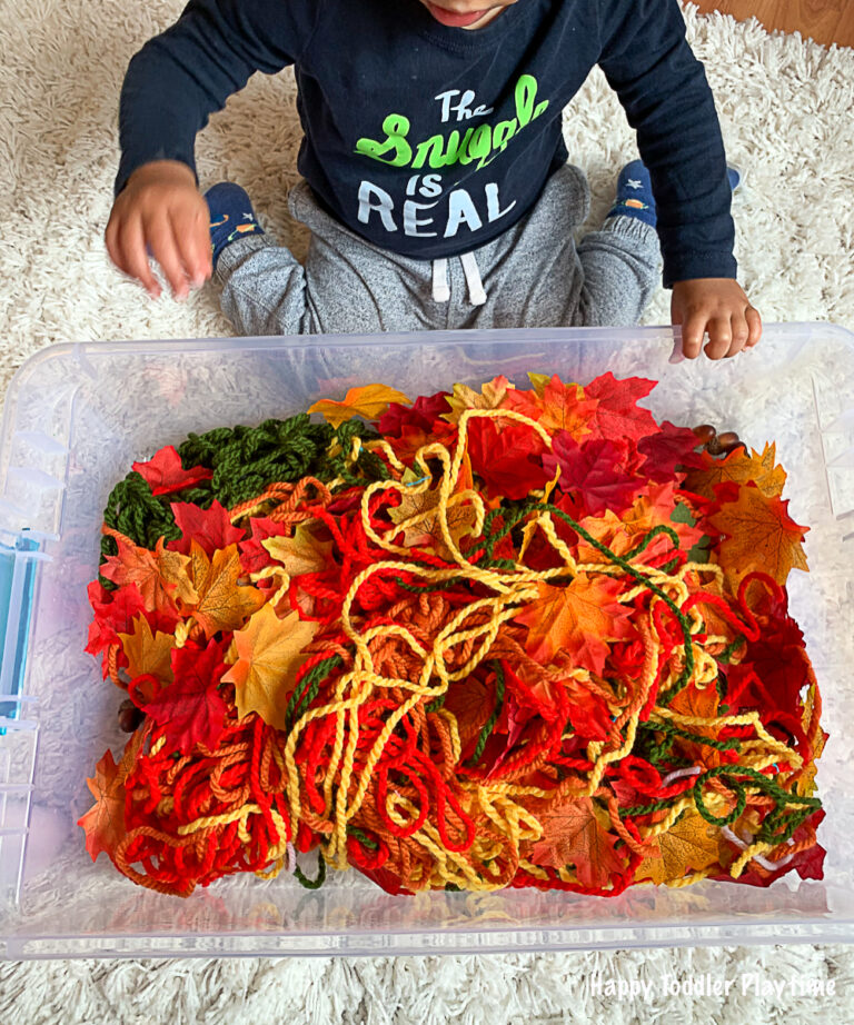 35+ Fantastic Fall Sensory Bins for Kids - Happy Toddler Playtime