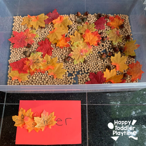 Leaf Names Sensory Bin for Fall - Happy Toddler Playtime