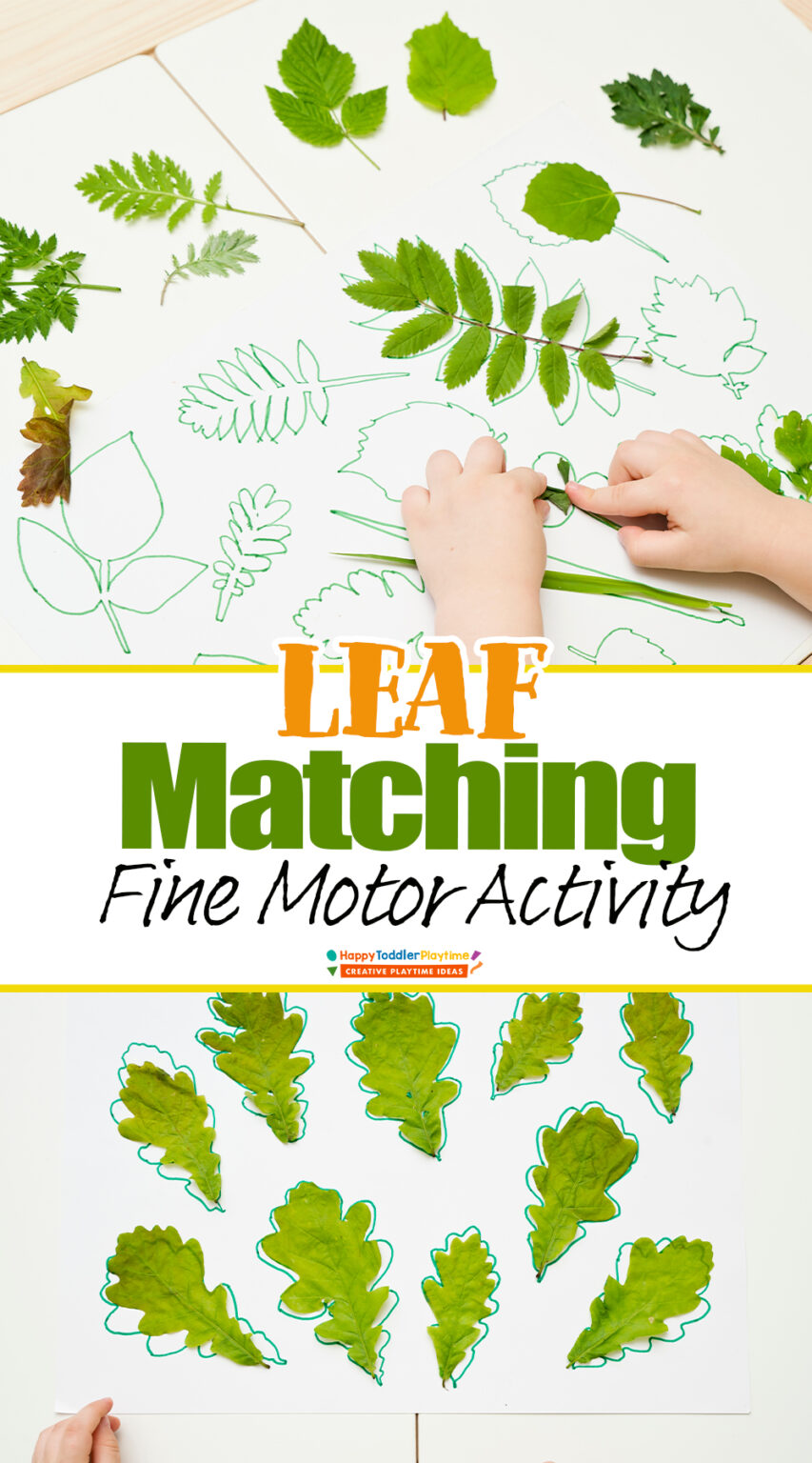 Leaf Matching Activity for Preschoolers - Happy Toddler Playtime