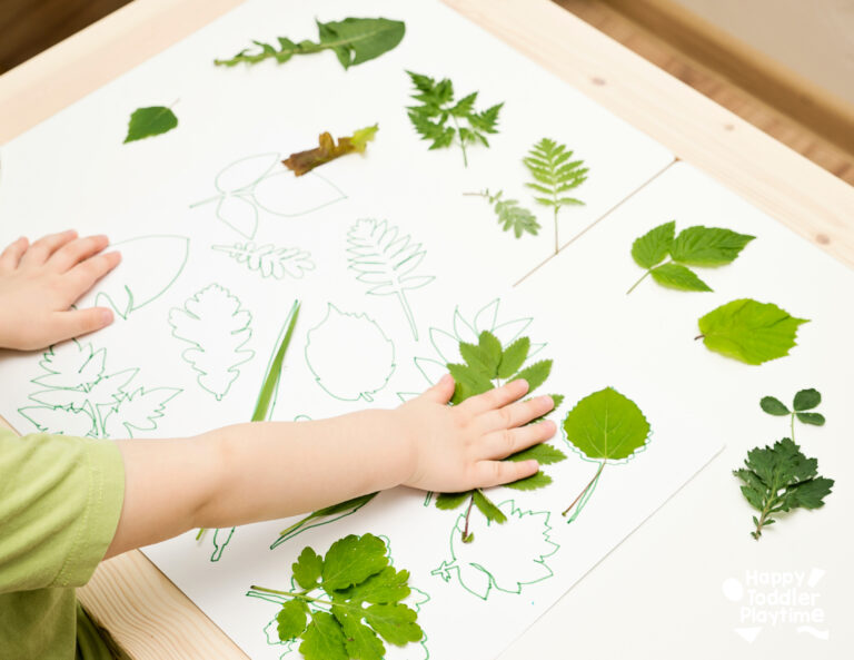 Leaf Matching Activity for Preschoolers - Happy Toddler Playtime