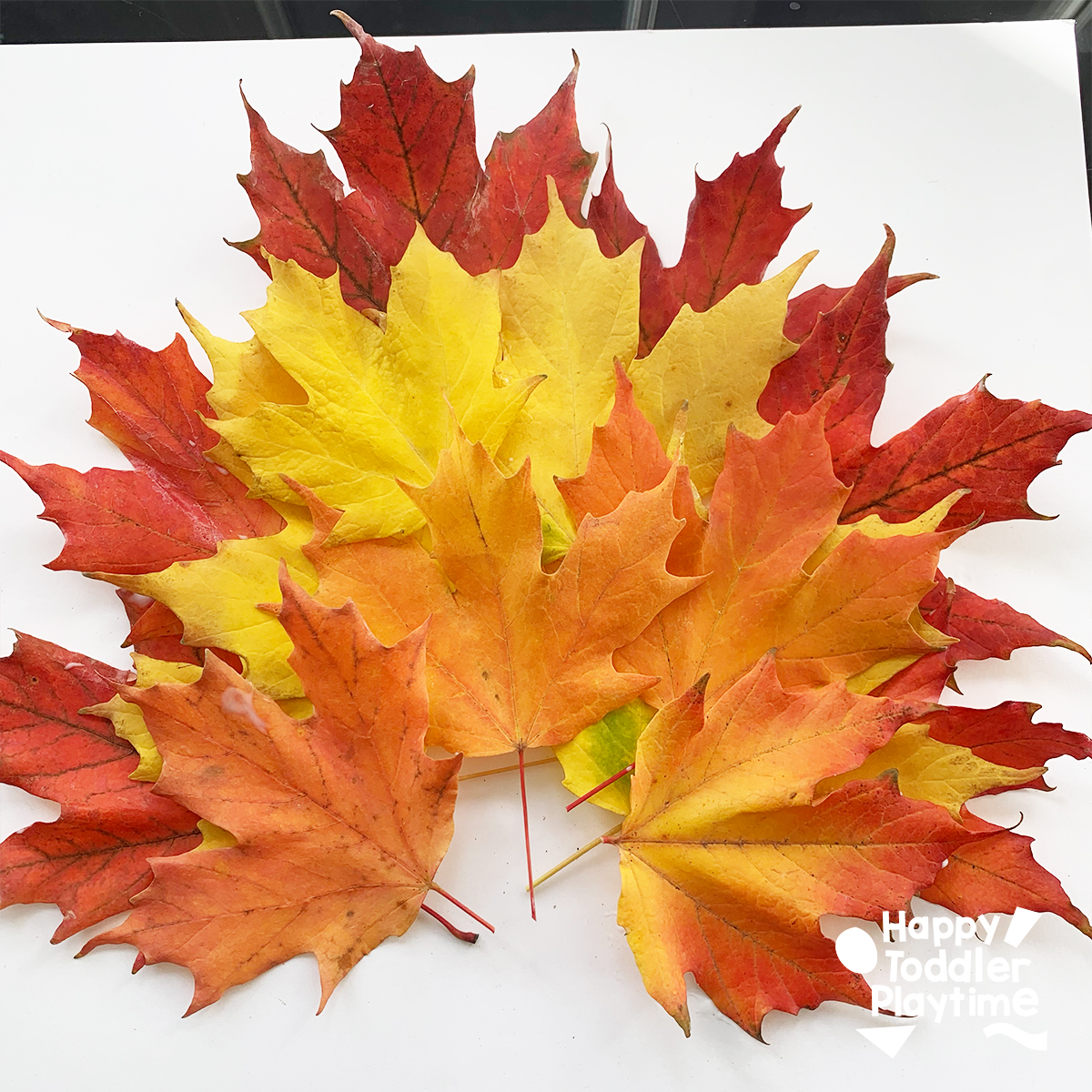 Leaf Turkey Craft for Kids - Happy Toddler Playtime