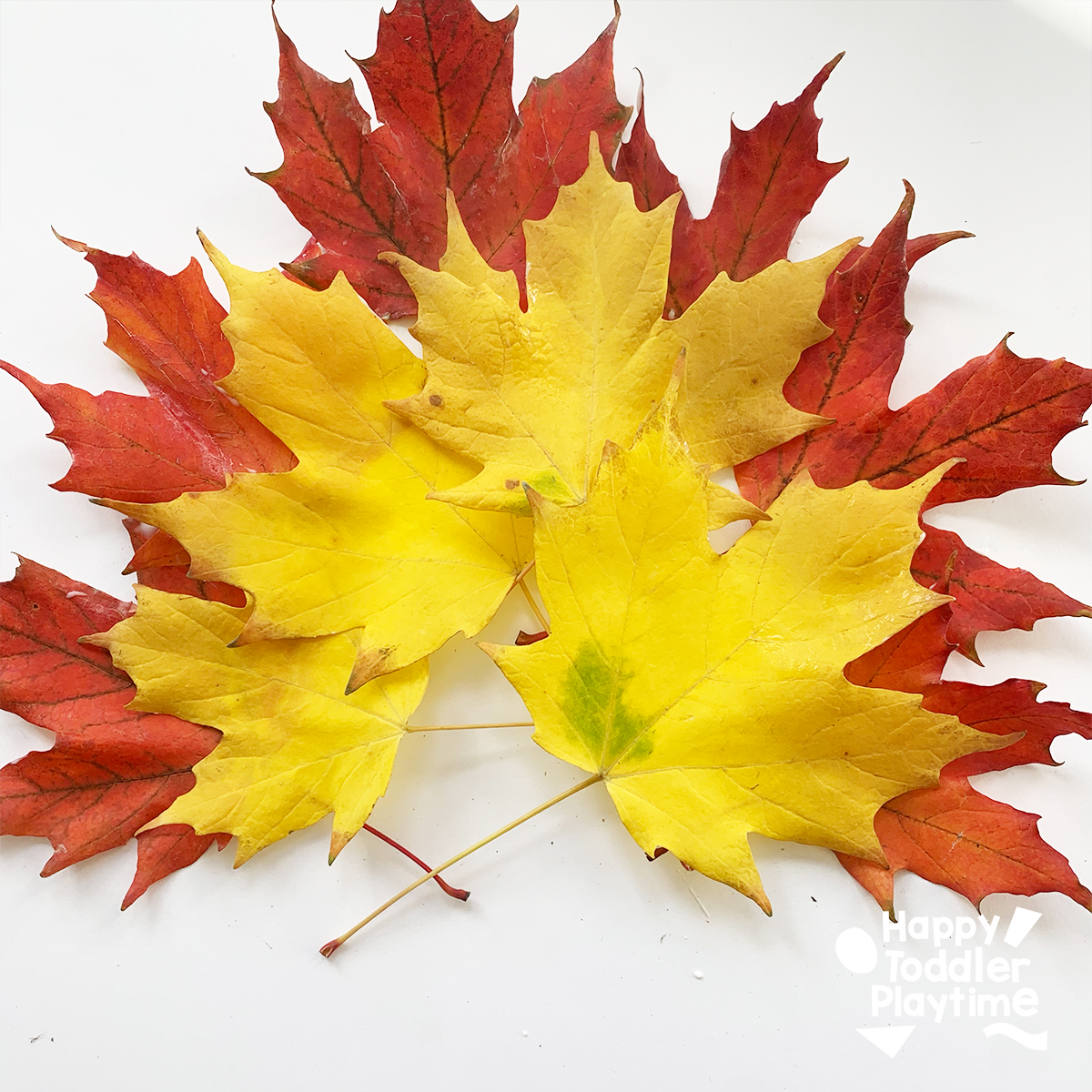 Leaf Turkey Craft for Kids - Happy Toddler Playtime