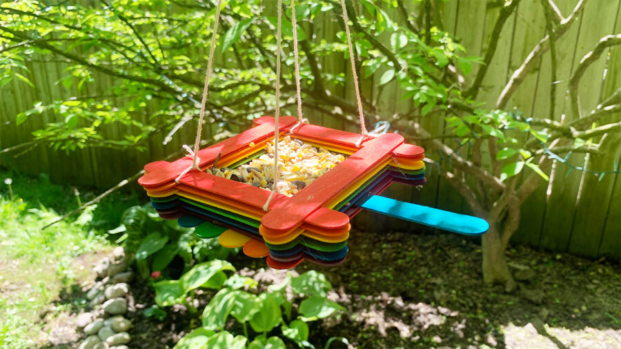 Popsicle Stick Bird Feeder - Happy Toddler Playtime