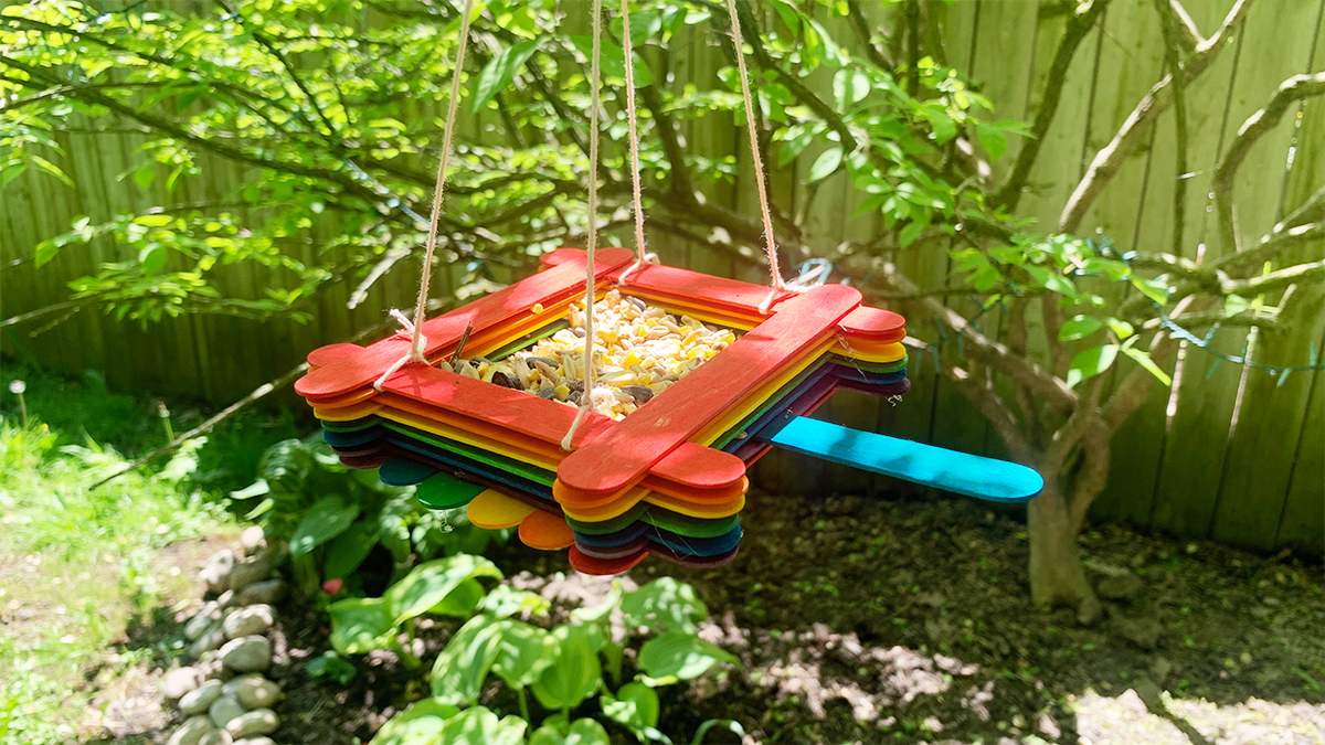 Popsicle Bird Feeder
