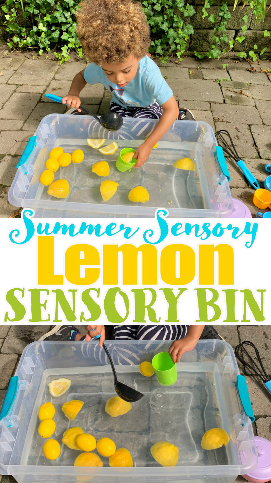 Lemon Sensory Bin - Happy Toddler Playtime